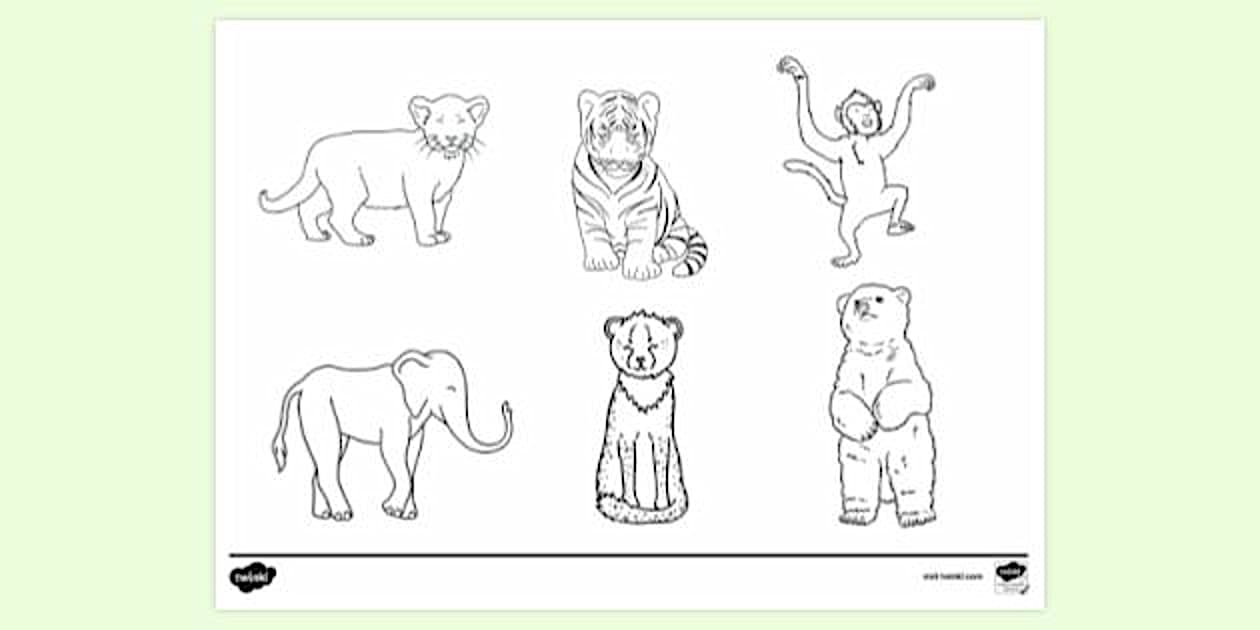 Baby Zoo Animals Colouring Page - Parents - Colouring