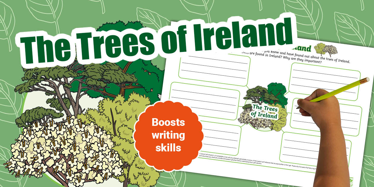 The Trees of Ireland Mind Map - Twinkl SESE
