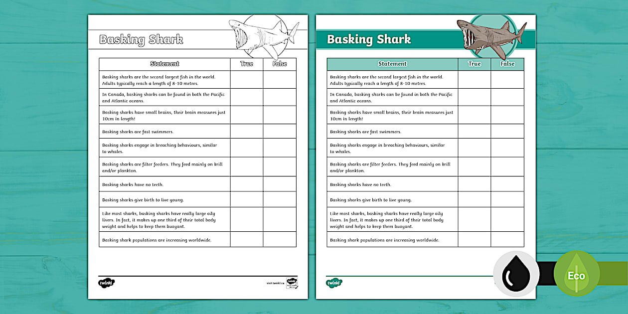 Basking Shark True or False Activity (teacher made) - Twinkl