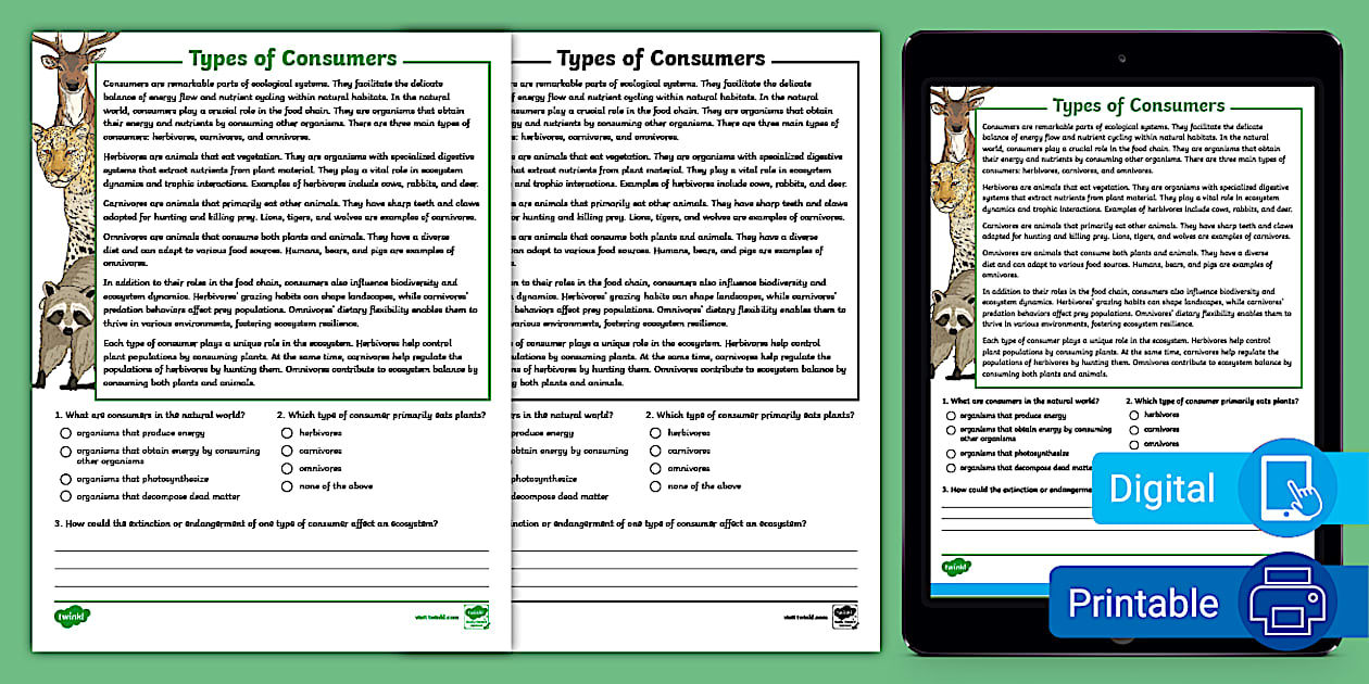 Seventh Grade Types of Consumers Reading Passage Comprehension Worksheet