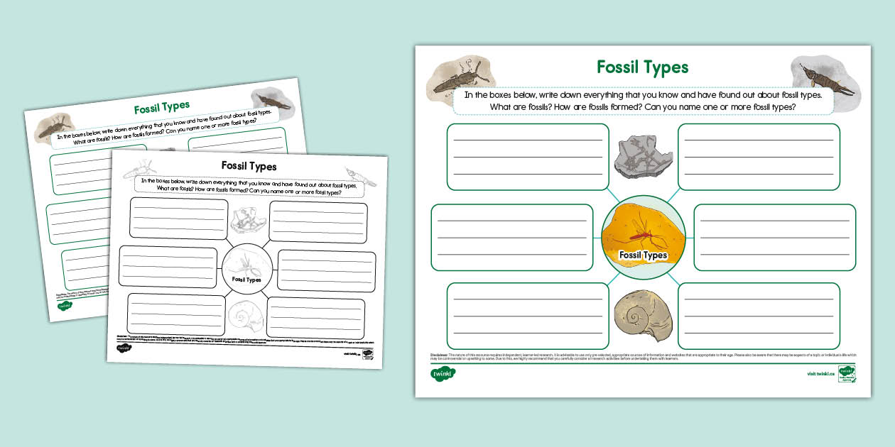 Fossil Types Mind Map - Twinkl More Subjects (teacher made)