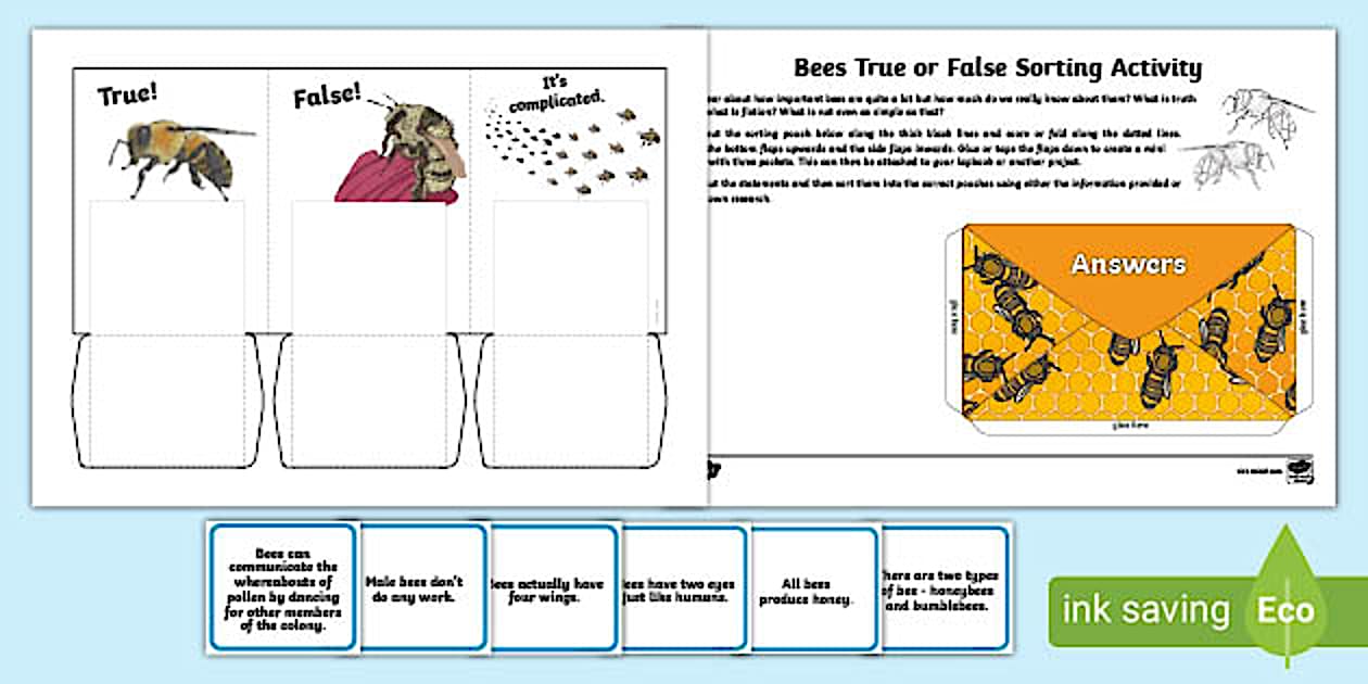 Bee True or False Sorting Activity (Teacher-Made) - Twinkl