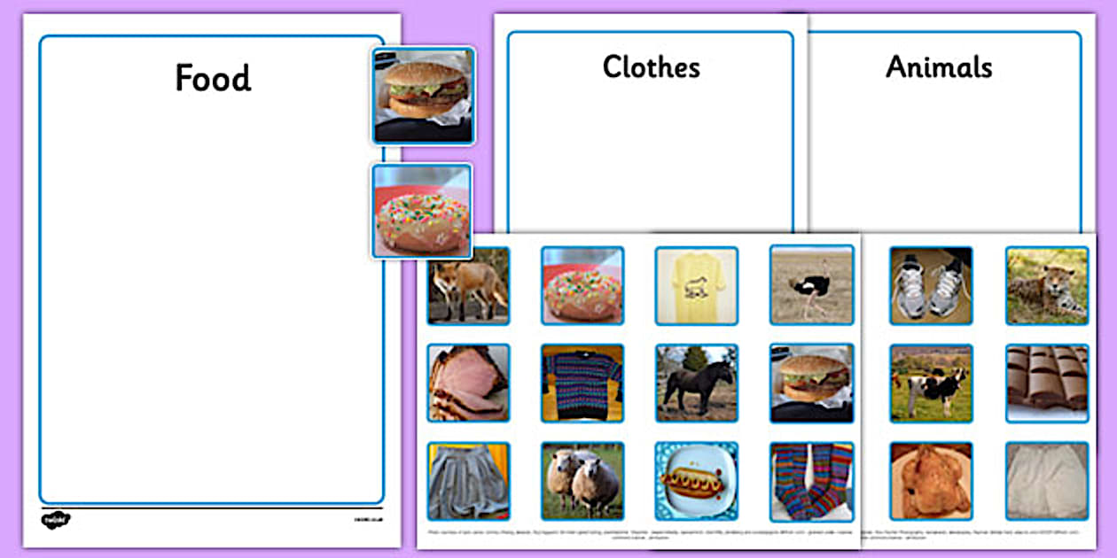 Photo Animals, Clothes and Food Sorting Activity - Twinkl