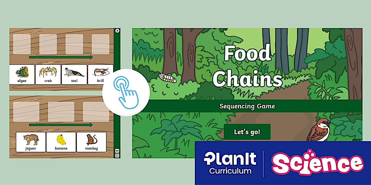 Food Chains Sequencing Game (Teacher-Made) - Twinkl