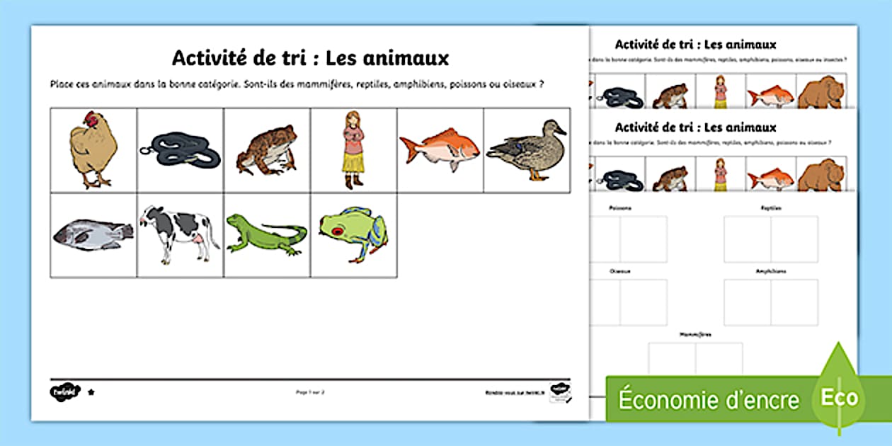 Fiches d'activités différenciées : classification des animaux