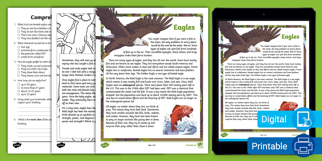 Fourth Grade Eagles Reading Comprehension Worksheet - Twinkl