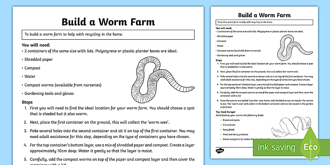 Build a Worm Farm Activity (teacher made) - Twinkl