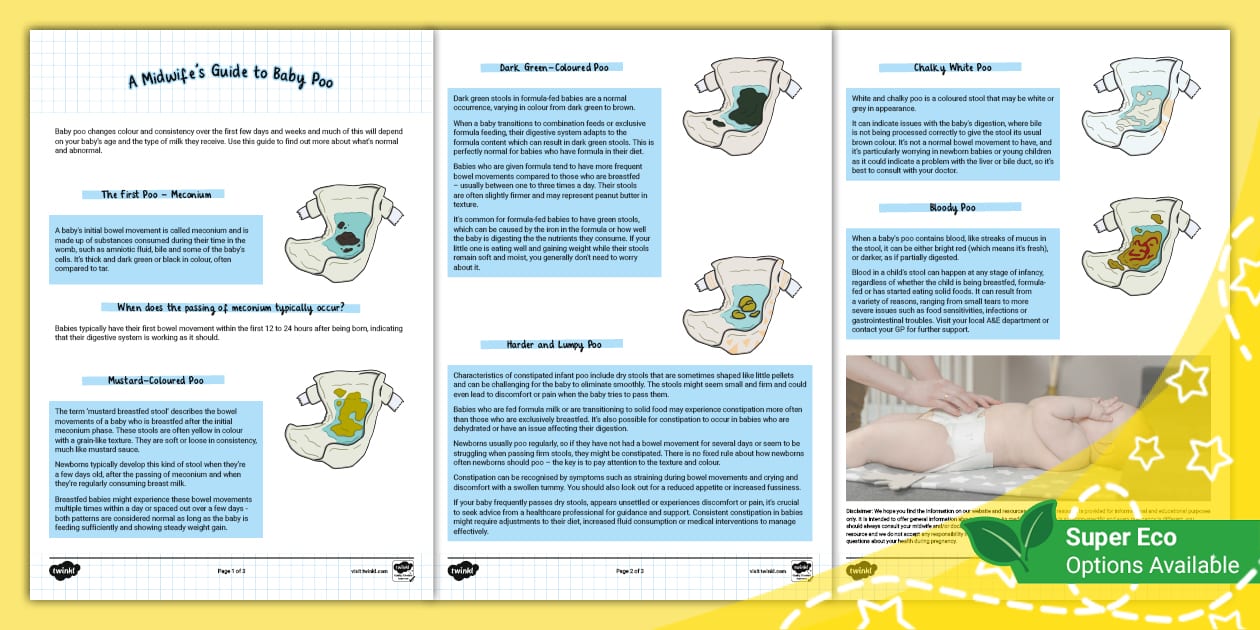 FREE! - A Midwife's Guide to Baby Poo (Teacher-Made)