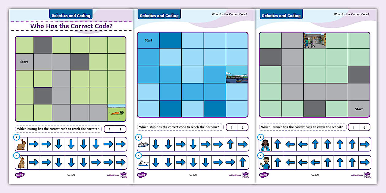 Robotics and Coding - Who Has The Correct Code? - Twinkl Robotics and Coding - Who Has The Correct Code? - Twinkl