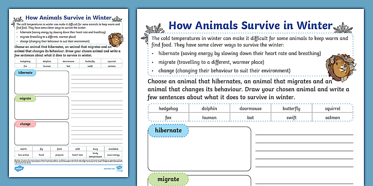How Animals Survive in Winter Activity Sheet - Twinkl - KS1