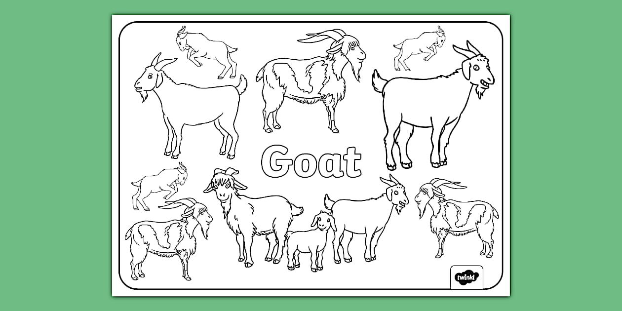 Goat Doodle Colouring Page (teacher made) - Twinkl