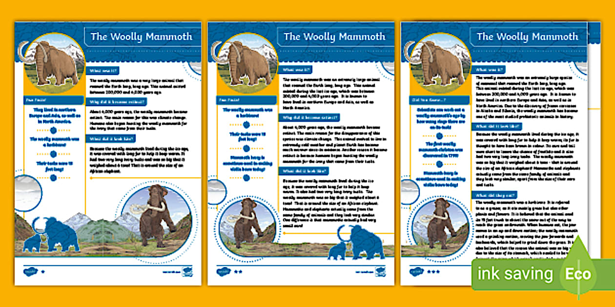 All About The Woolly Mammoth Fact File (l'enseignant a fait)