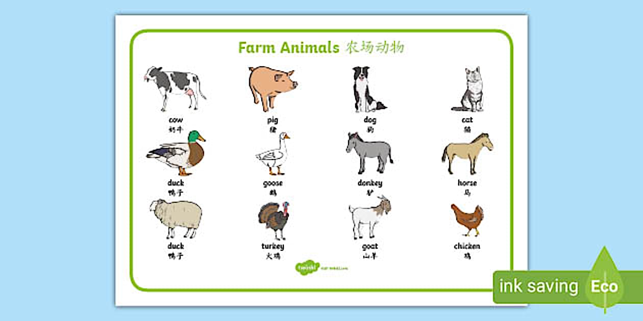 On the Farm Word Mat - English/Mandarin Chinese - Twinkl