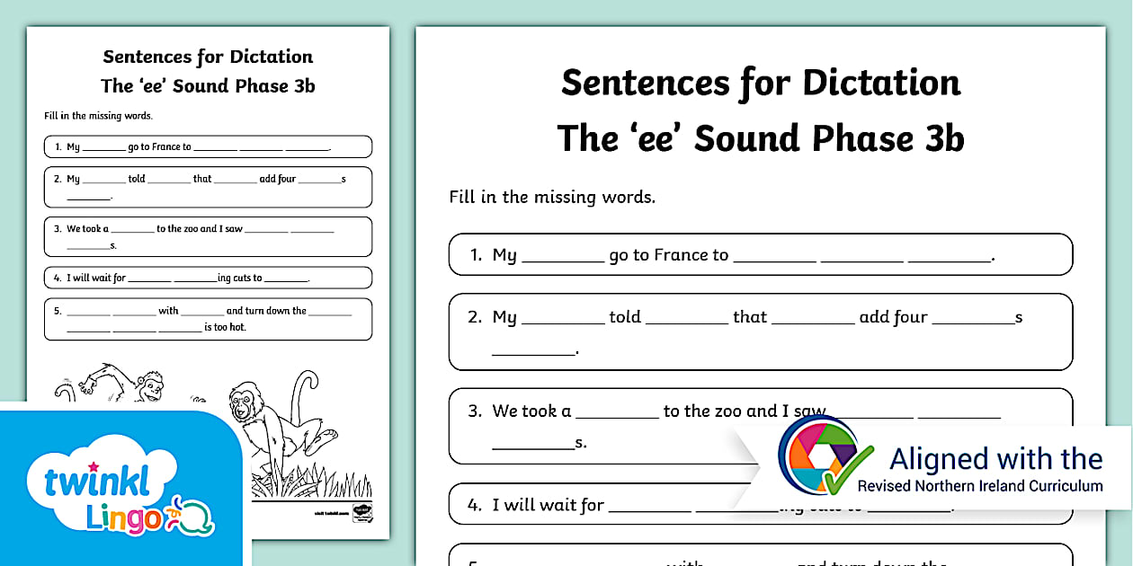 Northern Ireland Linguistic Phonics 3b 'ee' Sound Dictation Sentences