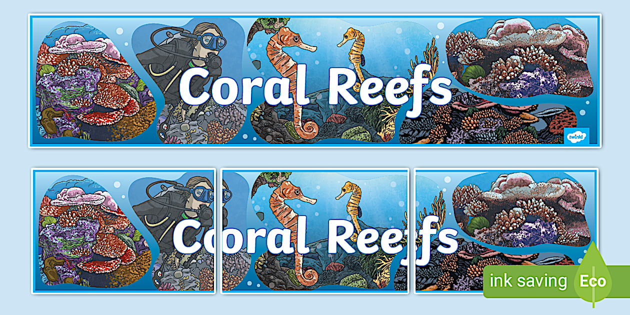 Coral Reefs Display Banner (teacher made) - Twinkl