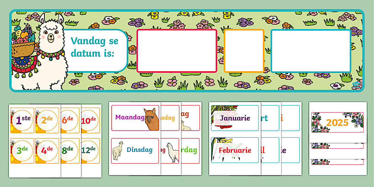 Llama Kalender (Hecho por educadores) - Twinkl