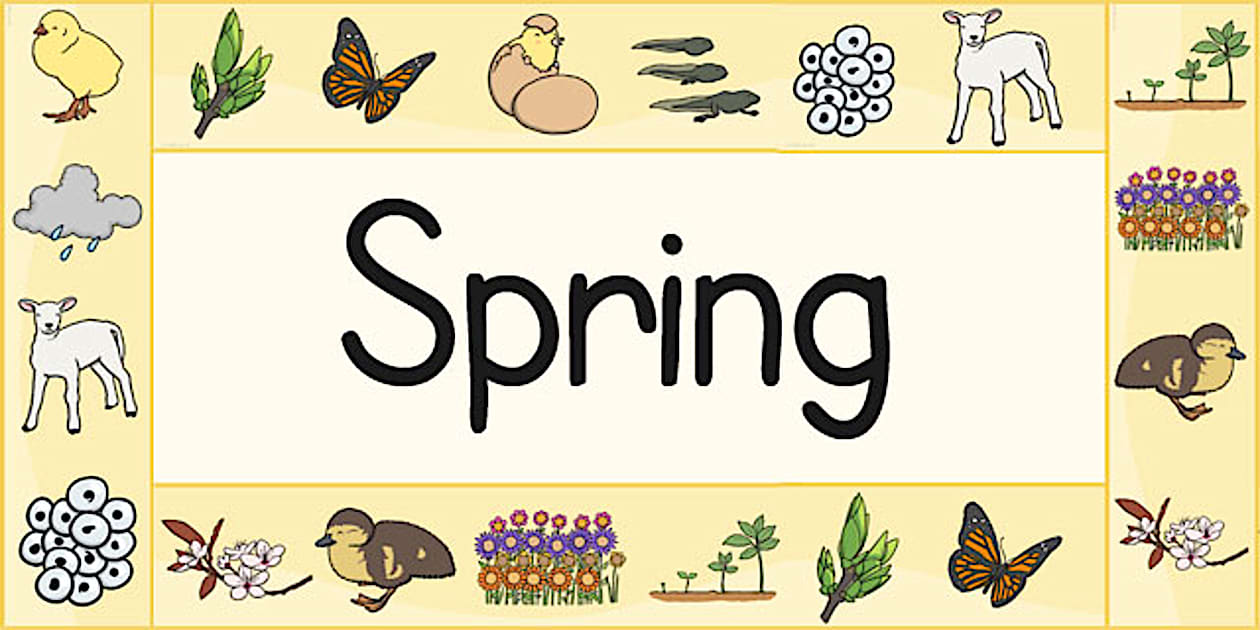 Springtime Display Borders (teacher made) - Twinkl