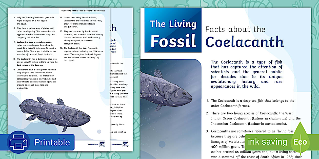 The Living Fossil: Facts about the Coelacanth - Twinkl