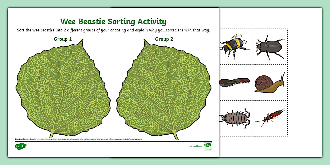 Wee Beasties Sorting Activity Sheet (teacher made) - Twinkl