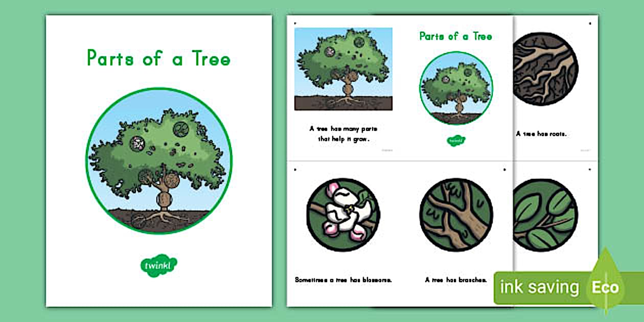 Parts of a Tree Emergent Reader | ELA | Twinkl USA - Twinkl