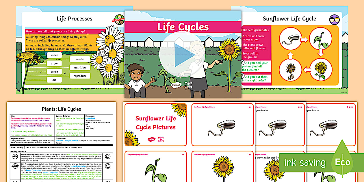 FREE! - 👉 KS1 Move and Learn: Science Lesson Pack