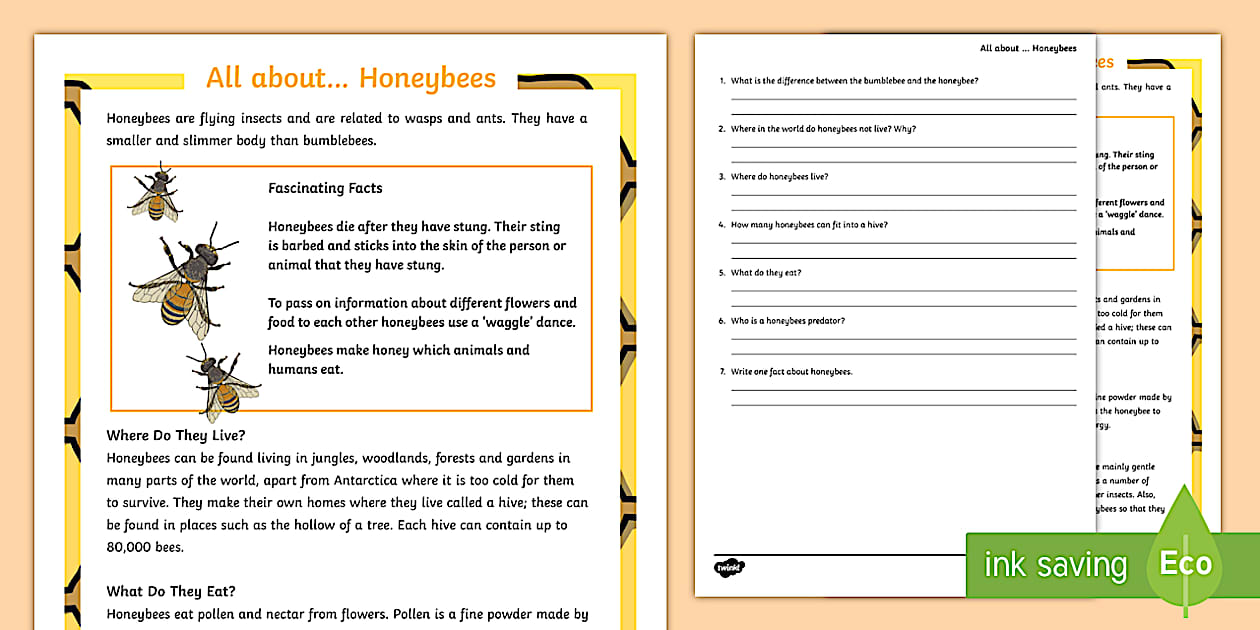 Editable Honeybee Reading Comprehension Pack - Twinkl