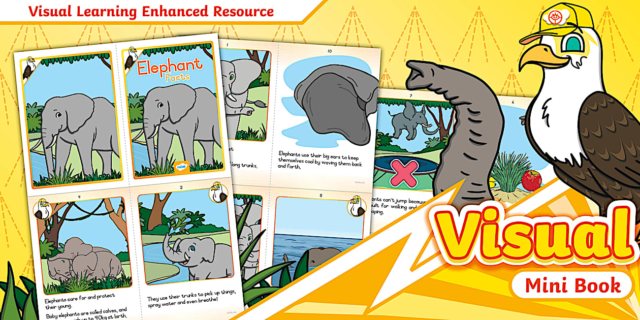 Elephant Facts Mini Book