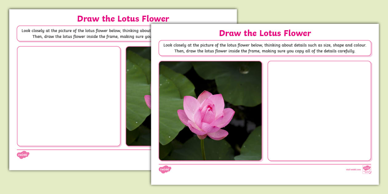 Draw the Lotus Flower Art Activity - Twinkl