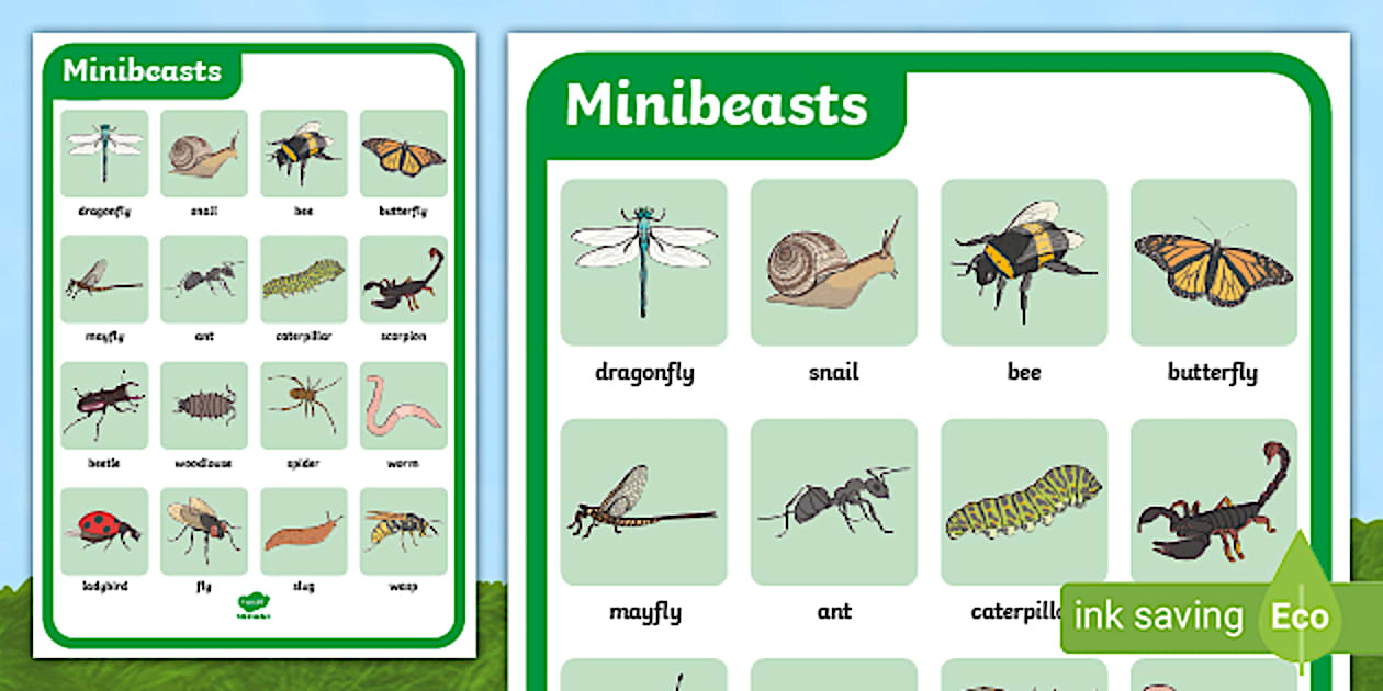 Large Minibeasts Display Poster (teacher made) - Twinkl
