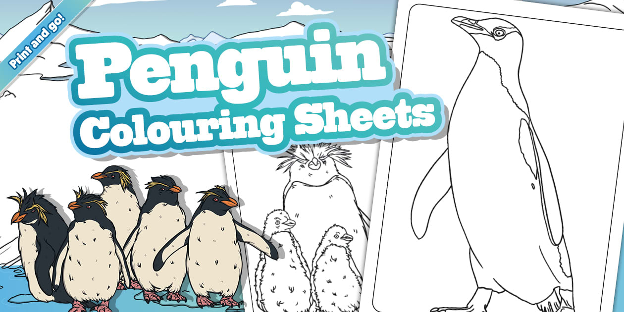 Penguin Colouring Sheets - Twinkl Australia