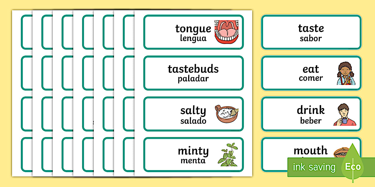 Taste Word Cards English/Spanish (teacher made) - Twinkl