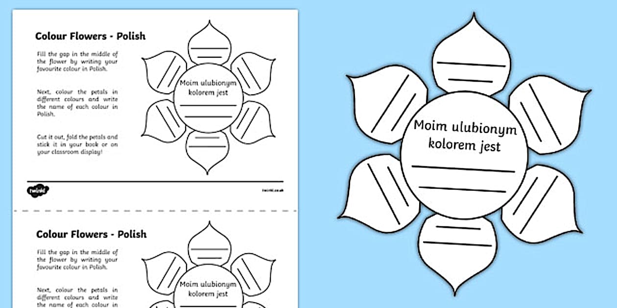 MFL Polish Colour Flowers Worksheet / Worksheet, worksheet