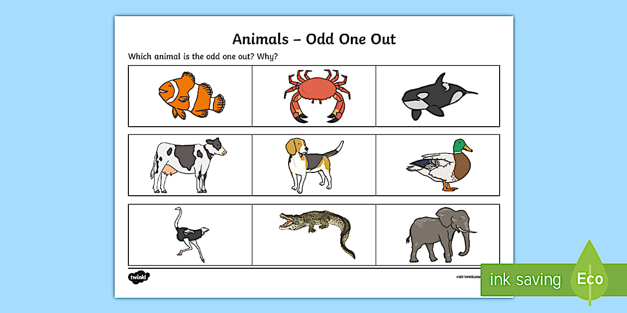 Black and White Animals Odd One Out Sheet - Verbal Reasoning