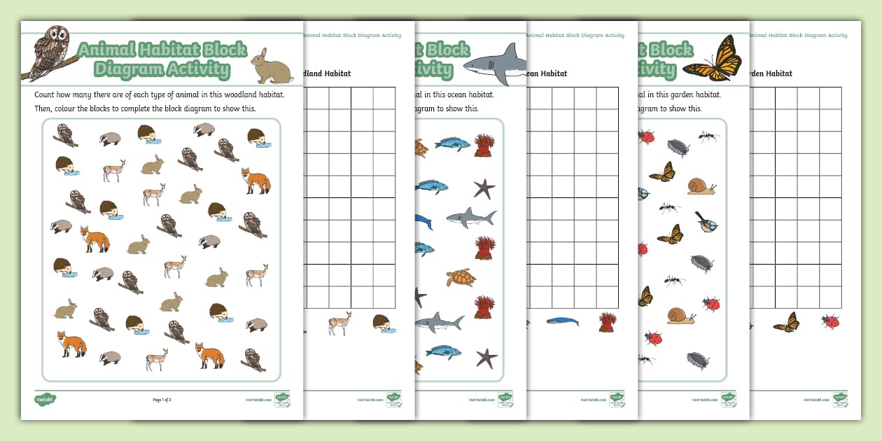 👉 Animal Habitat Maths - Twinkl - KS1 (teacher made)