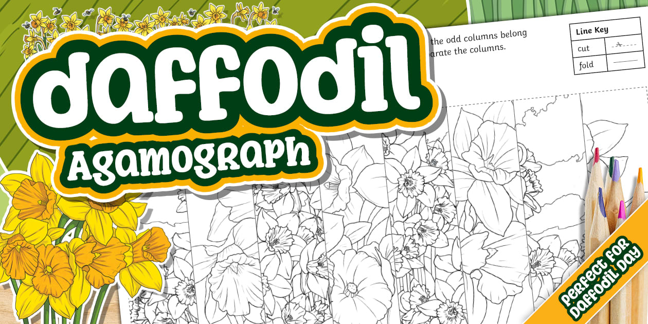 Daffodil Agamograph