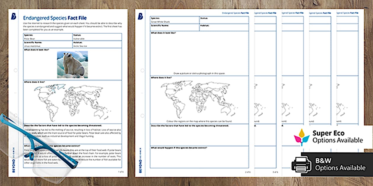 Editable Endangered Species Fact File Worksheets - Twinkl