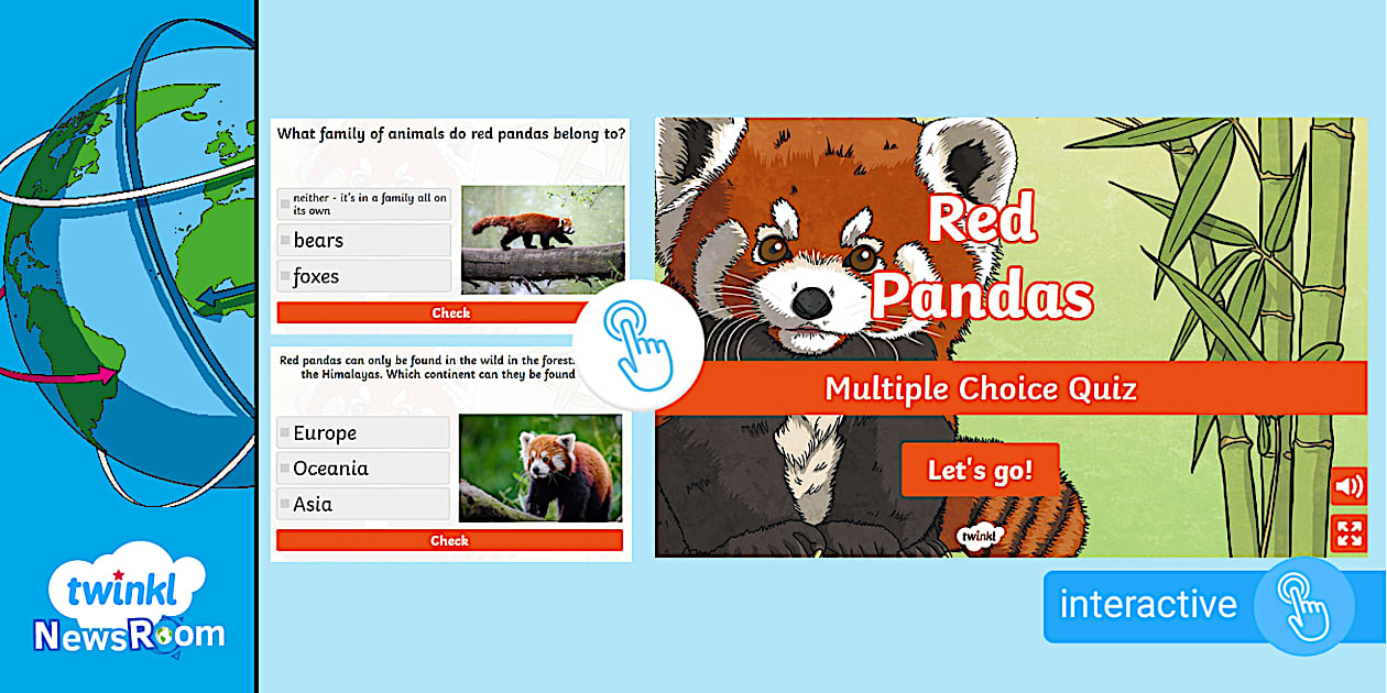 Red Panda Multiple Choice Quiz (teacher made) - Twinkl