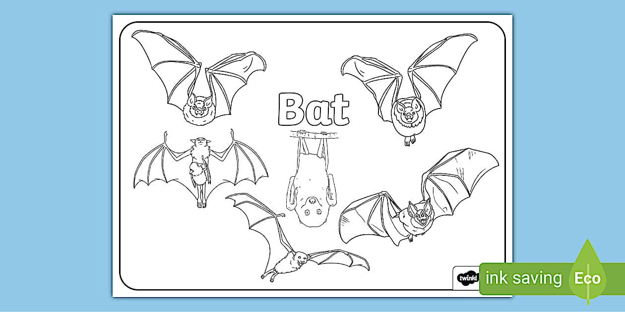 Bat Doodle Colouring Page (Lehrer gemacht) - Twinkl