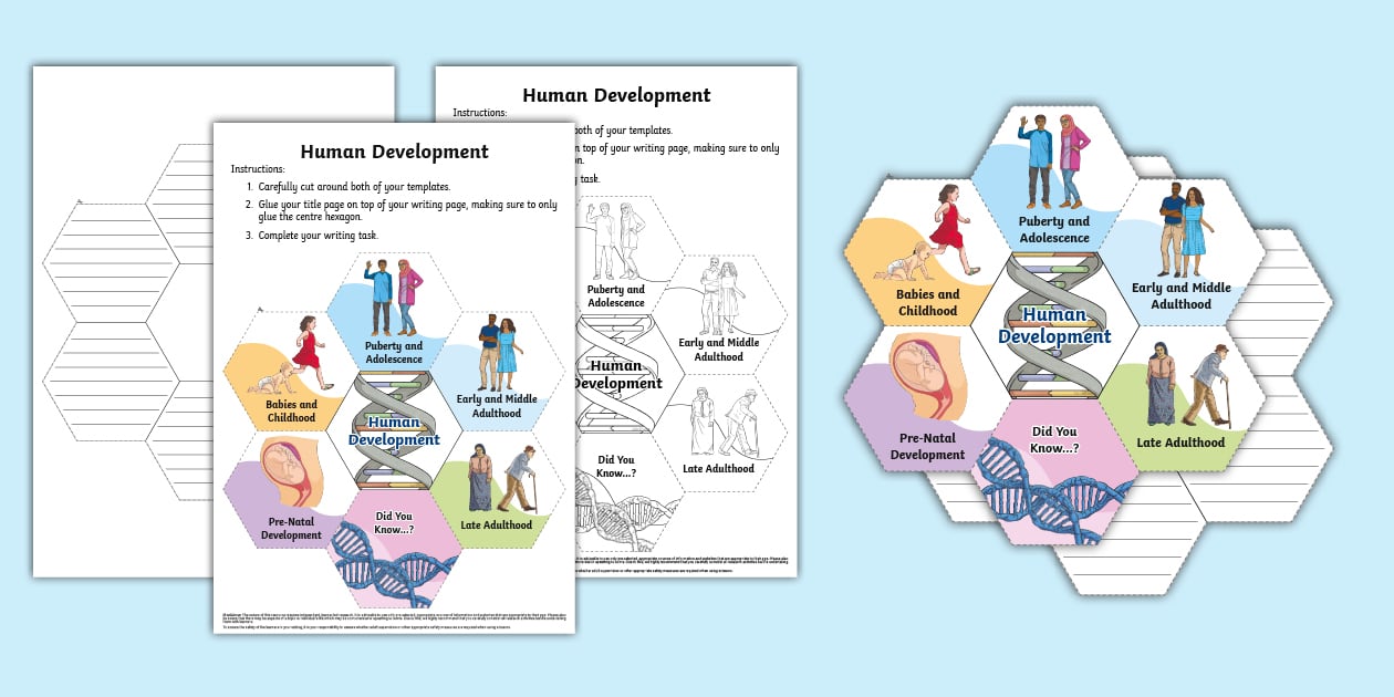Human Development Hexagon Writing Template (teacher made)