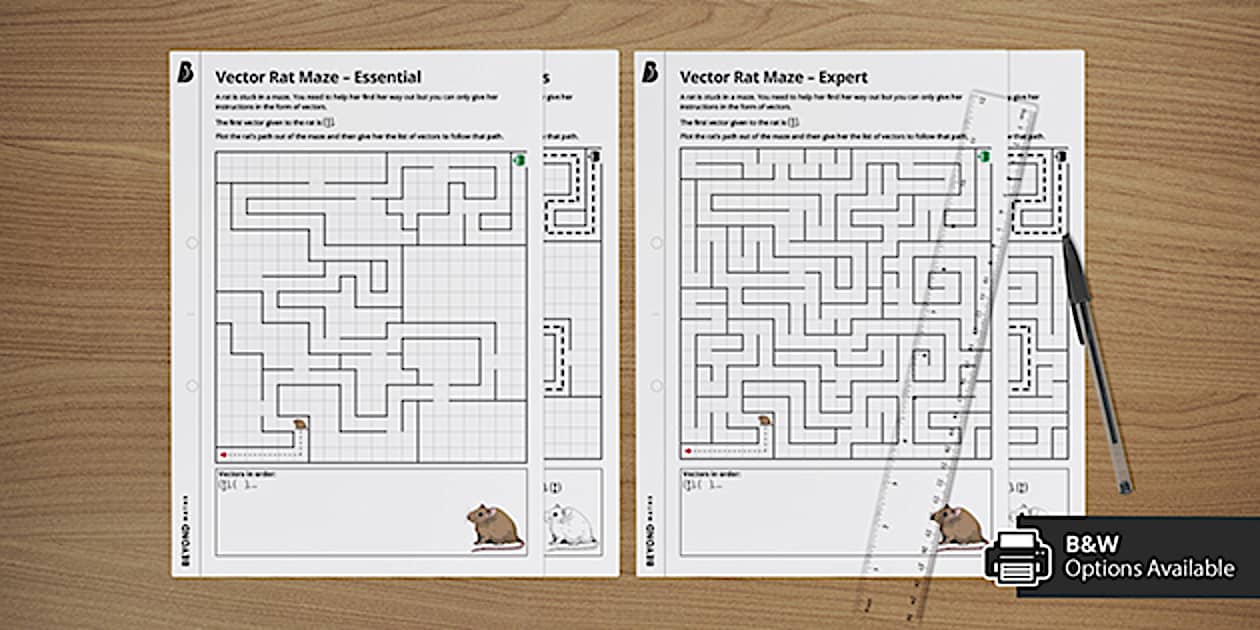 👉 Column Vectors Worksheet | KS3 Maths | Beyond - Twinkl