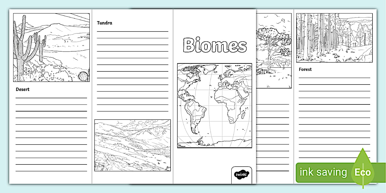 Biomes Leaflet Template (teacher made) - Twinkl