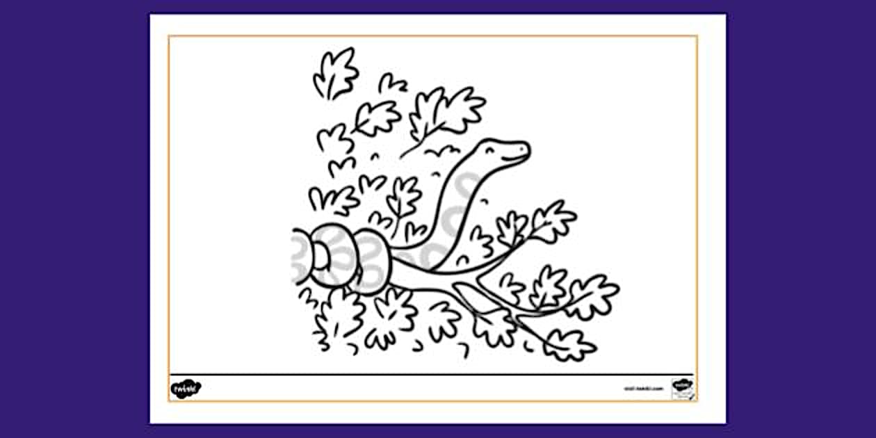 Snake in the Bushes Colouring Sheet | Colouring Sheets