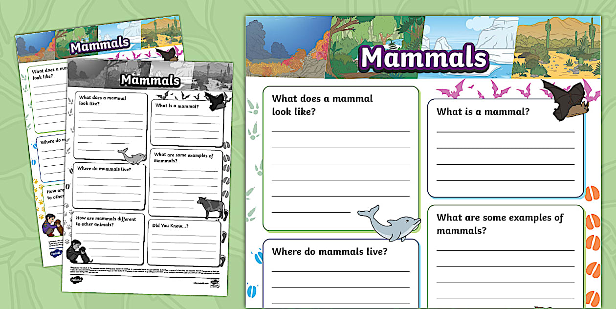 Mammals Fact File Template - Twinkl Science (teacher made)