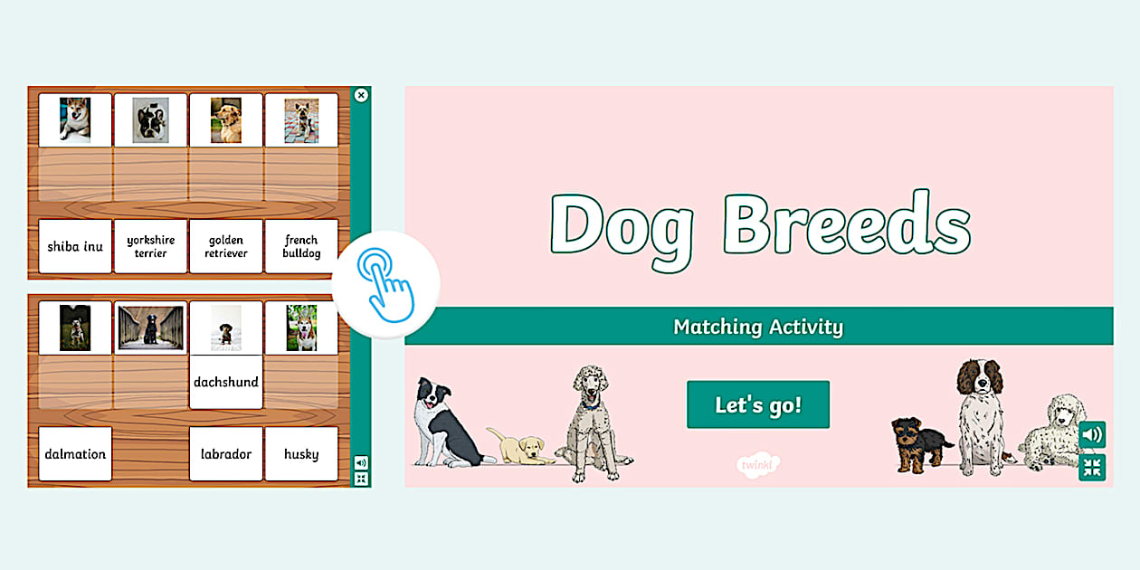 Dog Breeds Interactive Matching Activity - Twinkl