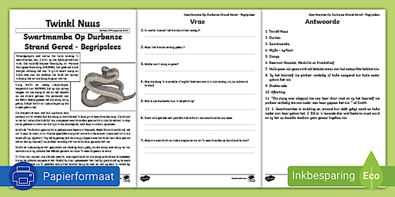 Swartmamba Slang op Durbanse Strand Gered - Begripslees