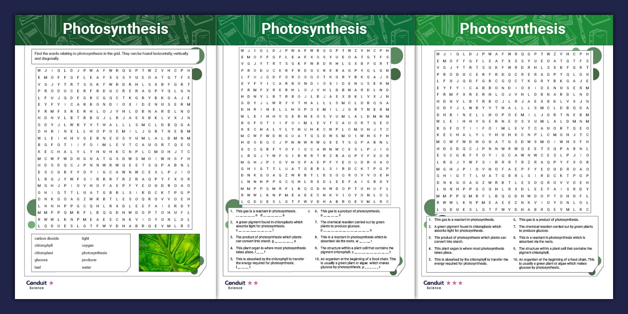 Photosynthesis Word Search (teacher made) - Twinkl