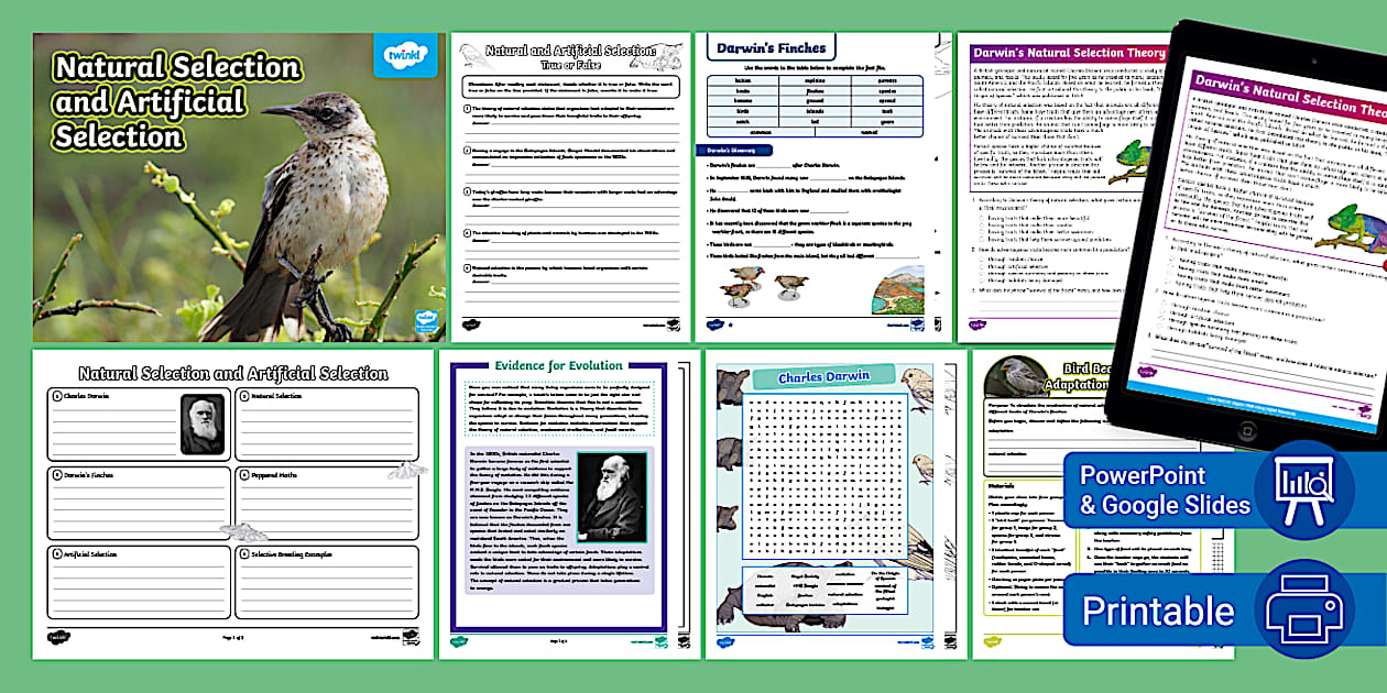 Inheritance: Natural and Artificial Selection Lesson Pack