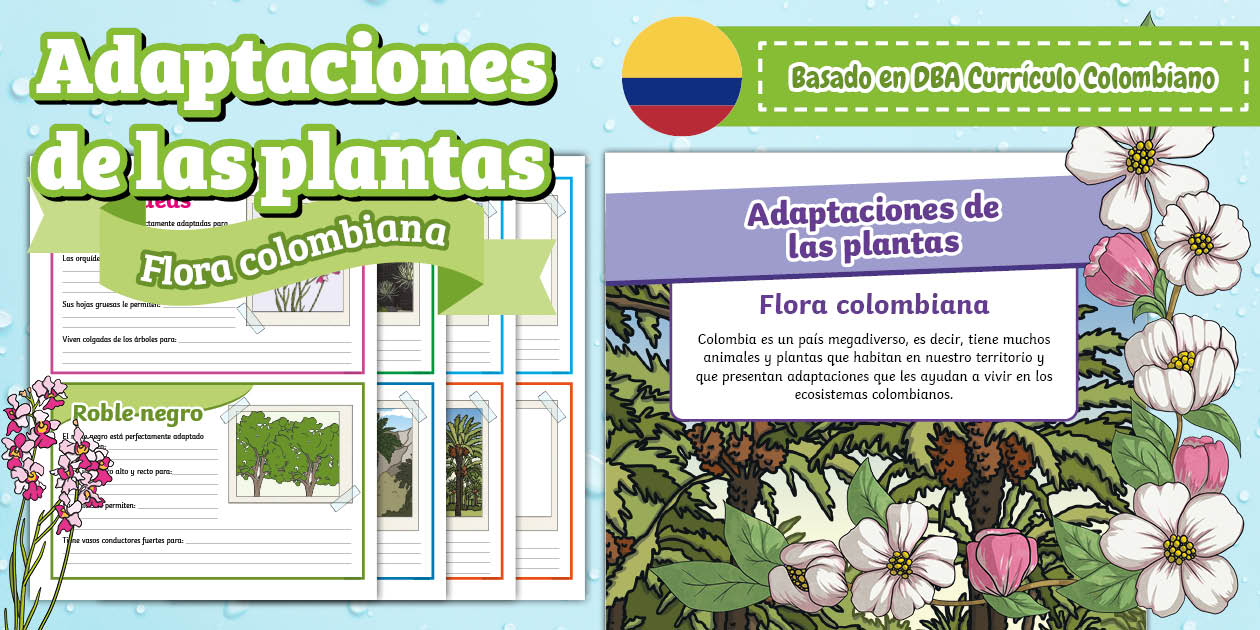 Tarjetas de plantas para niños - Twinkl Colombia - Twinkl