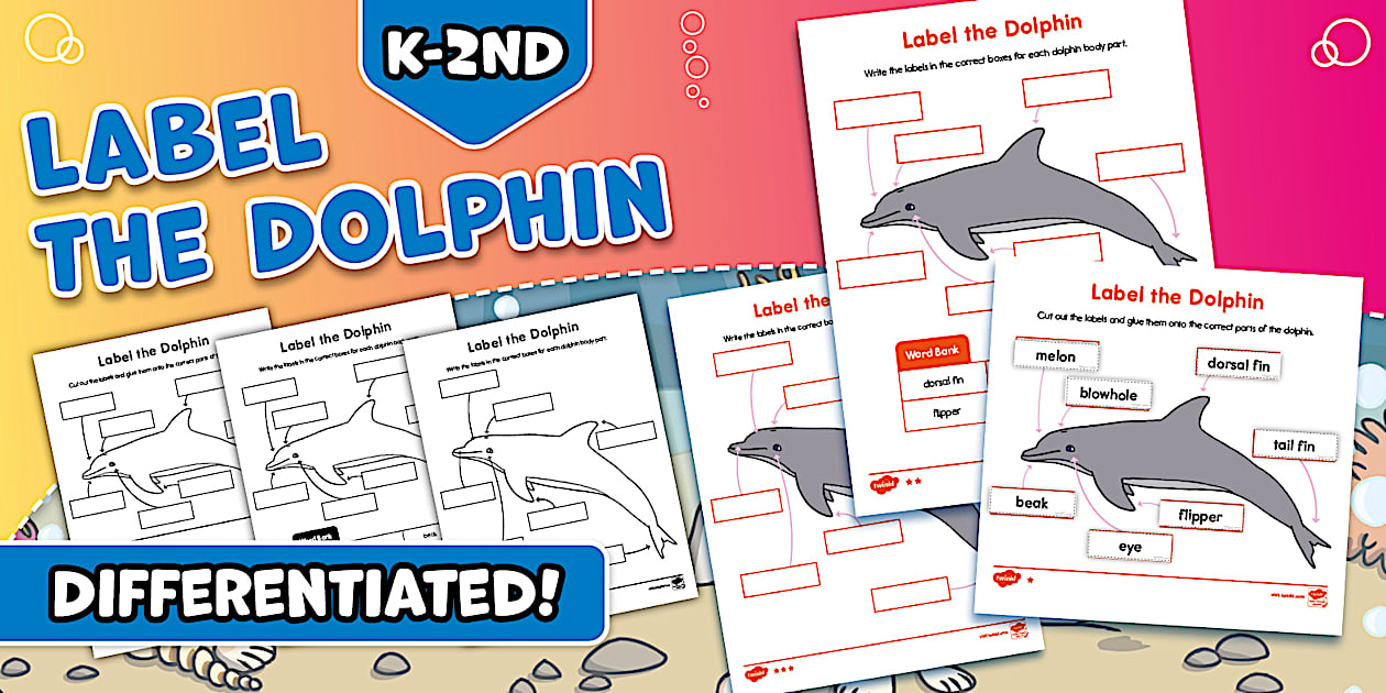 Label the Dolphin Differentiated Science Worksheet for K-2