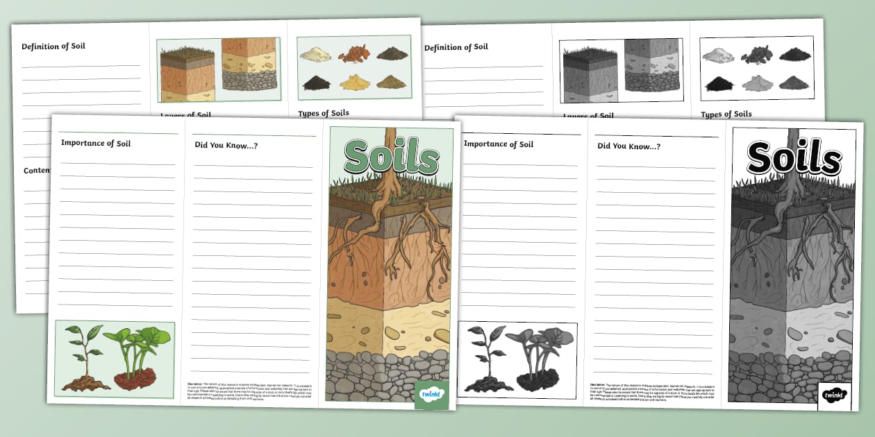 Soils Leaflet Template (teacher made) - Twinkl